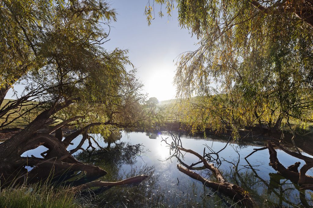 Riverhills, Wollert - Where Possums Abound - Riverhills